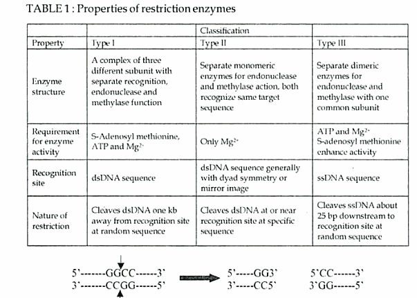 Genetic Engineering : Cutting & joining DNA |Genetic Engineering Info