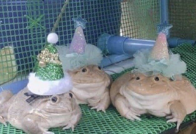 Wednesday Frogs: June 2020