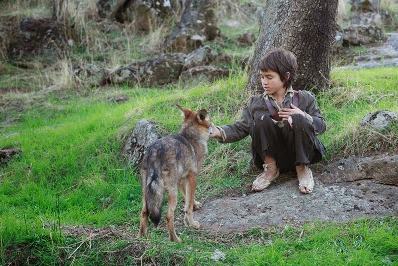 White Wolf : Heartwarming Photos Of Children Playing With Wolves