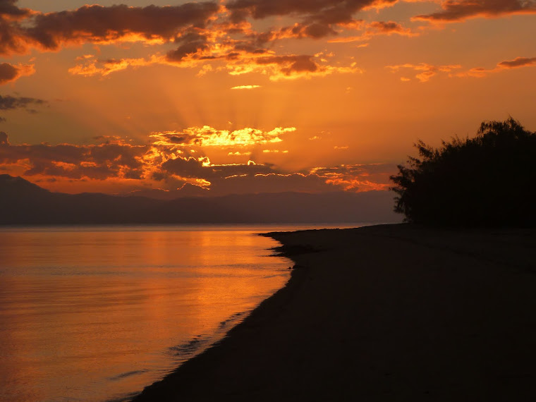 Down Unda: SS Moltke Ship Wreck, Magnetic Island