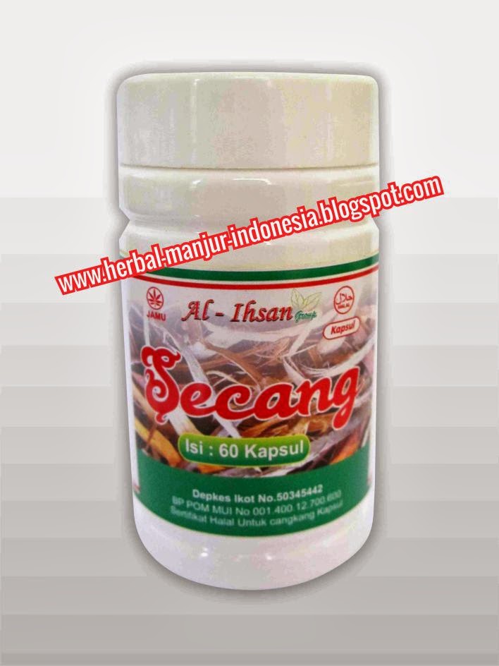 herbal indonesia: SECANG