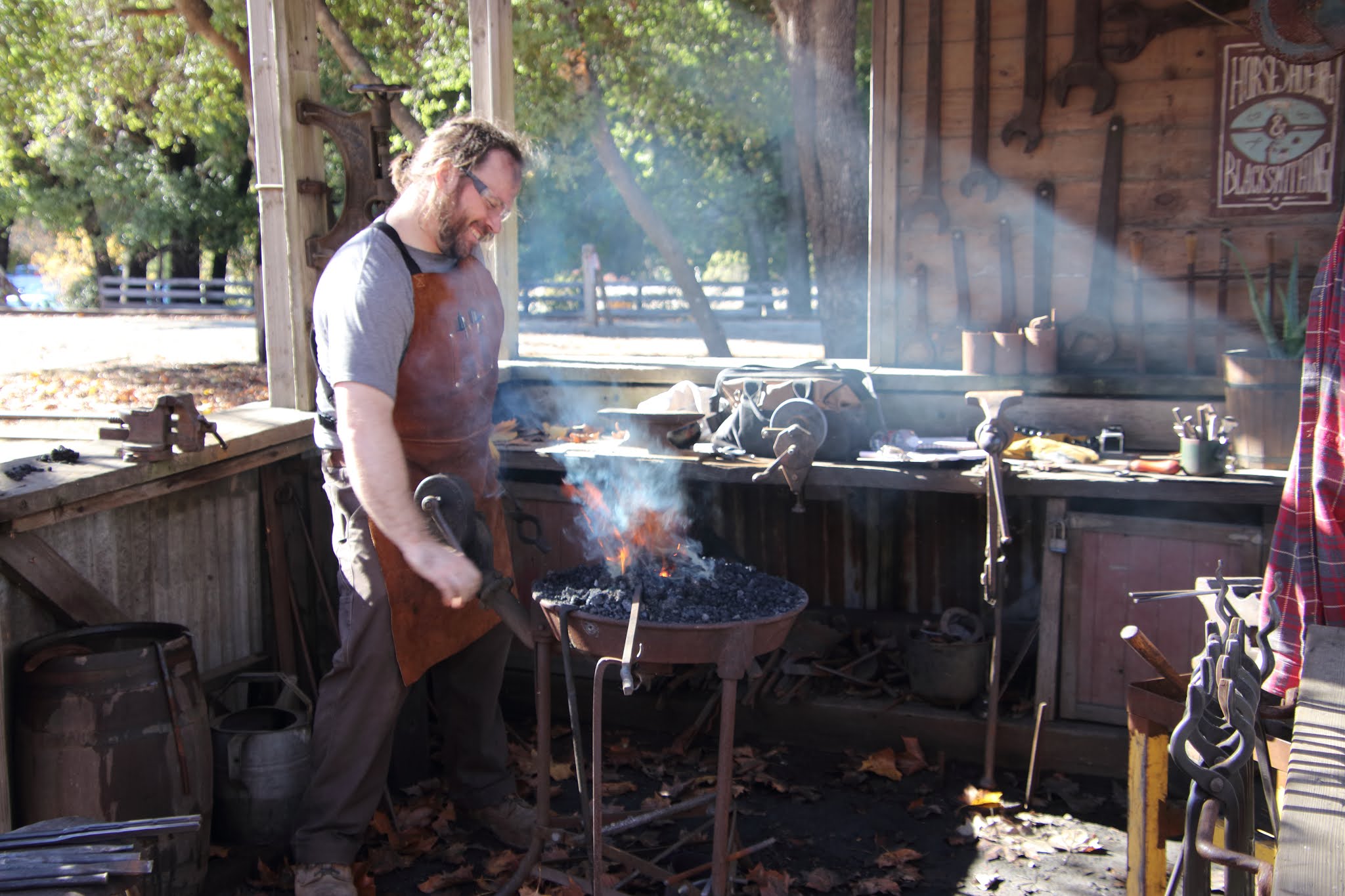 Henry Cowell Redwoods State Park