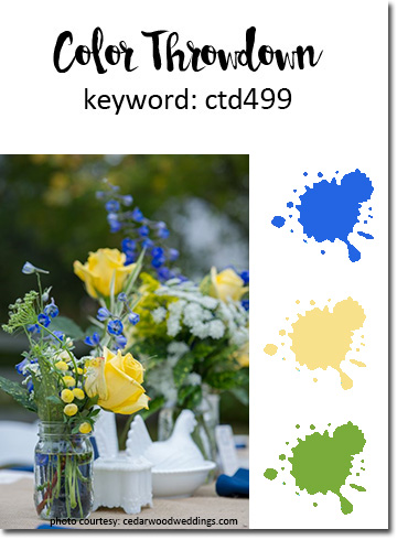 Color Throwdown: Color Throwdown Countdown #499