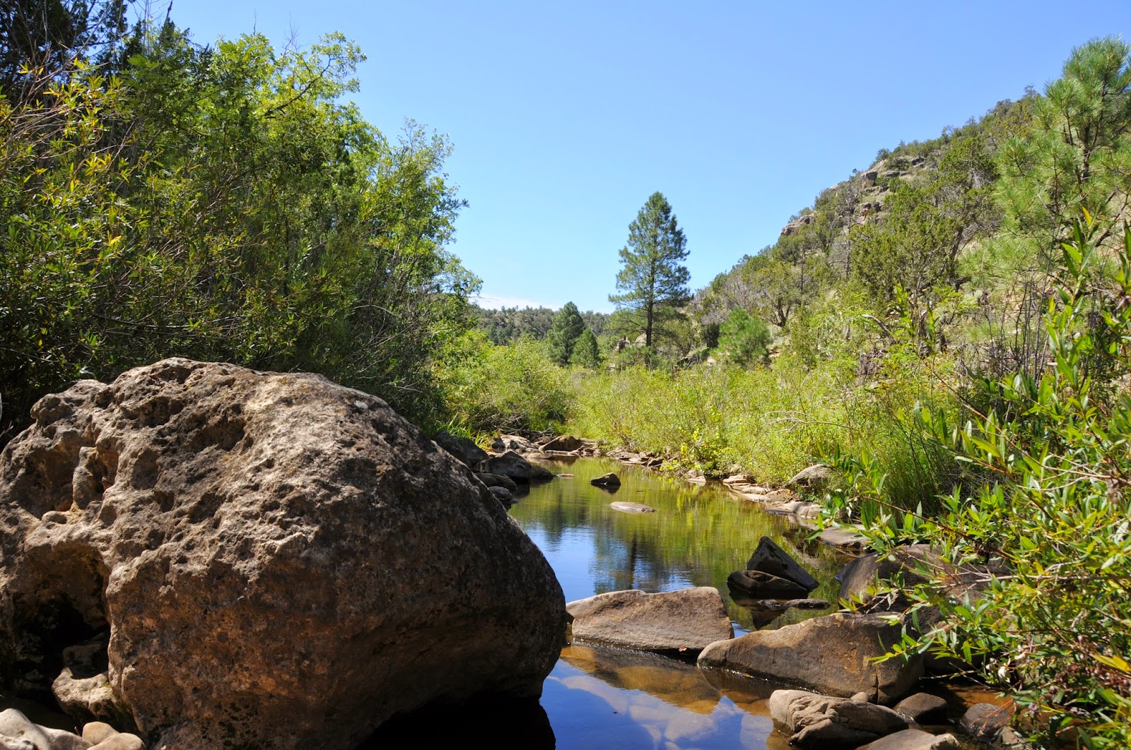 Arizona Hiking: CHEVELON CANYON