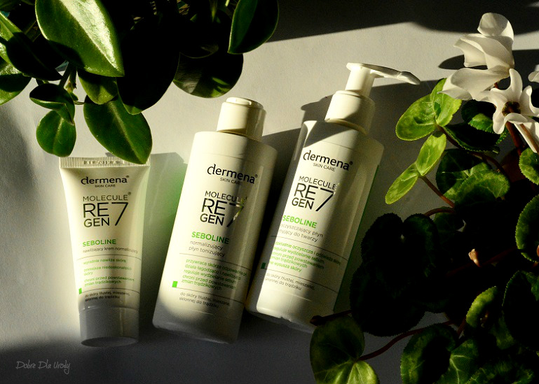 Dobre Dla Urody: Pielęgnacja cery mieszanej i tłustej z Dermena ...