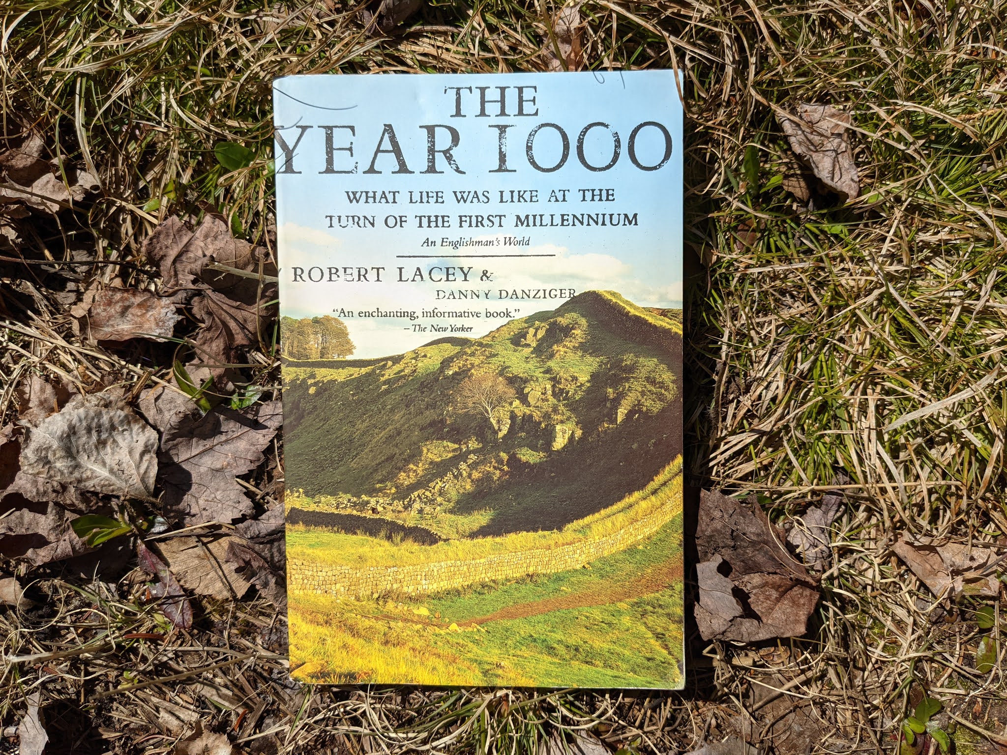 Review: The Year 1000: What Life Was Like at the Turn of the First ...