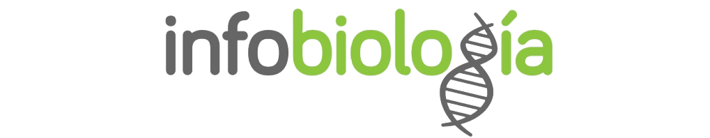 El timo, la médula ósea y la maduración linfocítica - Biología