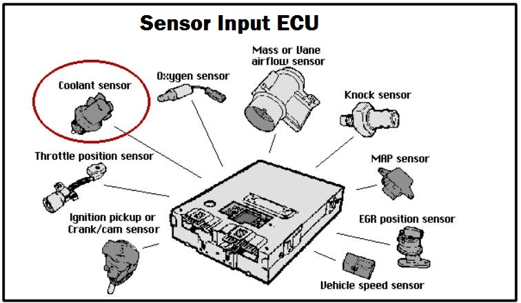 Fungsi Dan Cara Kerja Water Themperature Sensor ( WTS ) Serta Gejala ...