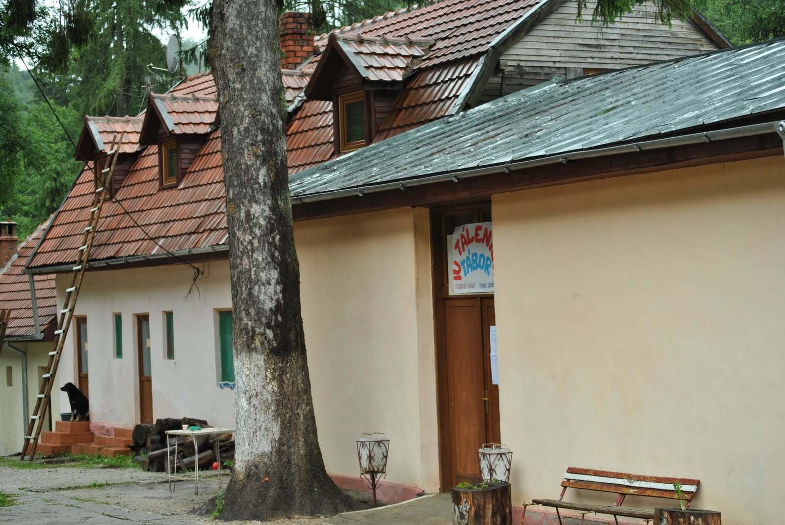 Cercul de Fizică: Tabăra Talentelor de la Poieni Strâmbu