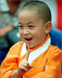 Life and Flavors: Shaolin Kids Reunited