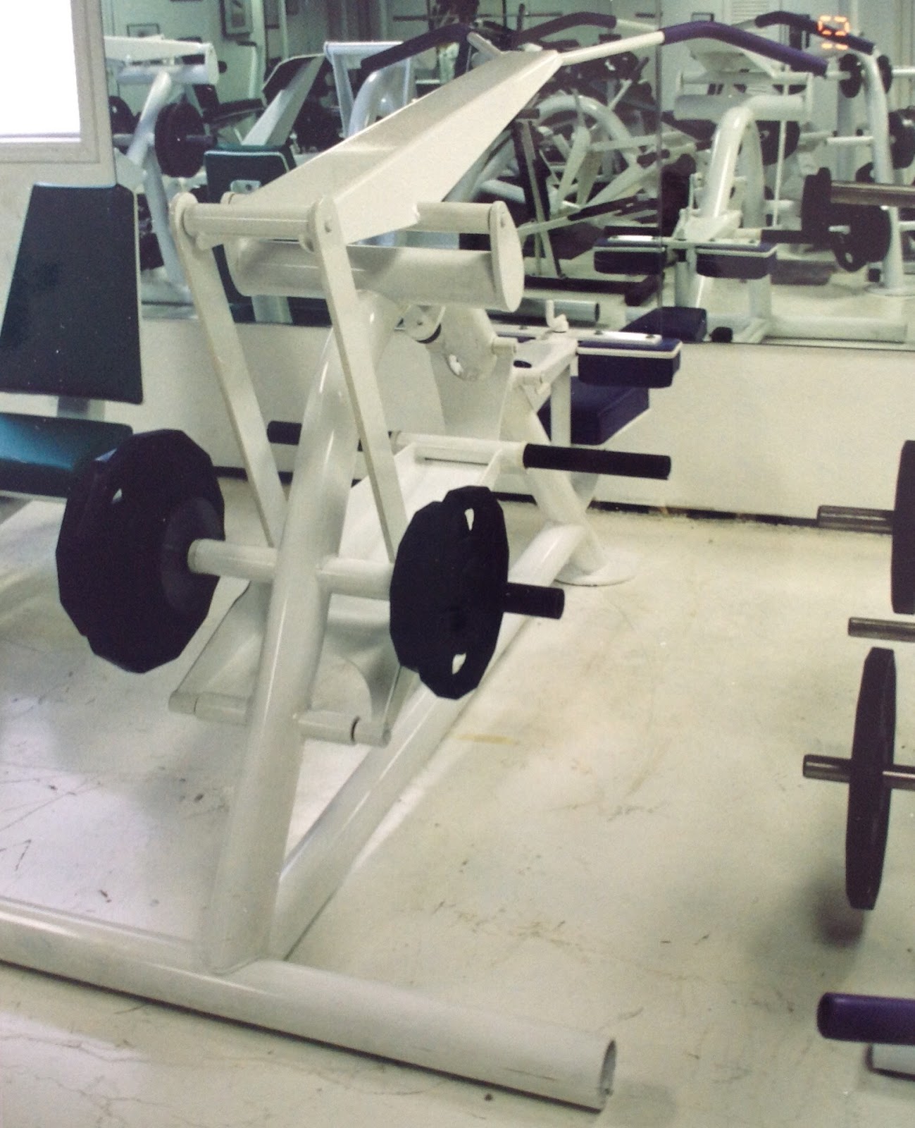 LAMB Bodybuilding Machines: Lamb Bodybuilding Machines - Description of ...