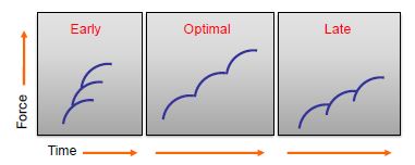 The optimal biomechanics of shot put