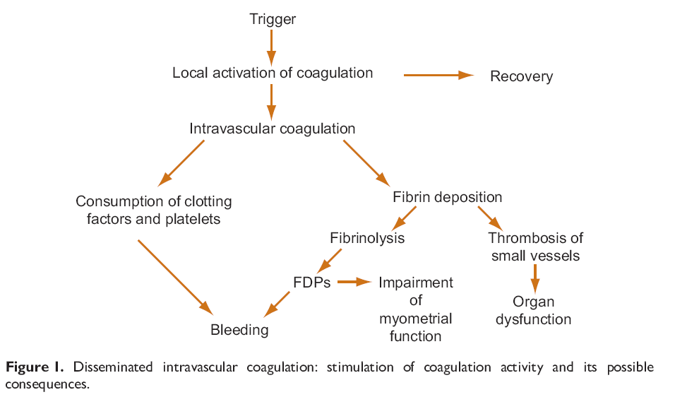 Koagulasi Intravaskular Diseminata (Disseminated Intravascular ...