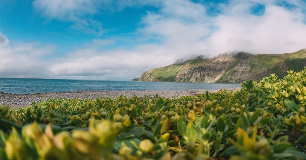 THE COMMANDER ISLANDS