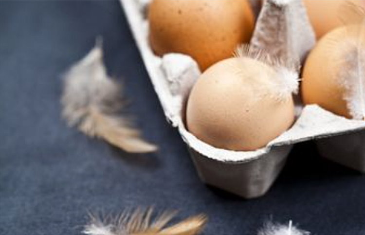 teaching art: Drawing, CLASS 7 ..... 4/13/2021