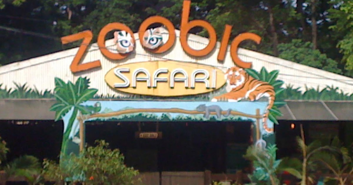 Trip to Ocean Adventure: HOW TO GET TO ZOOBIC SAFARI