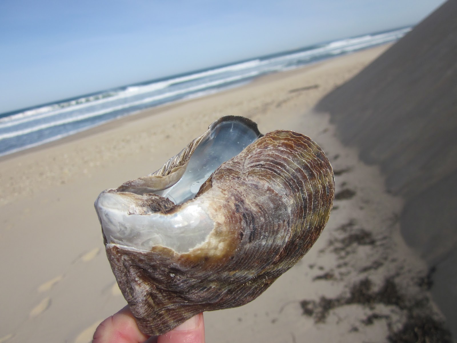 Tough Love Travel: Swath of Sand in South Africa: the Gamtoos River ...
