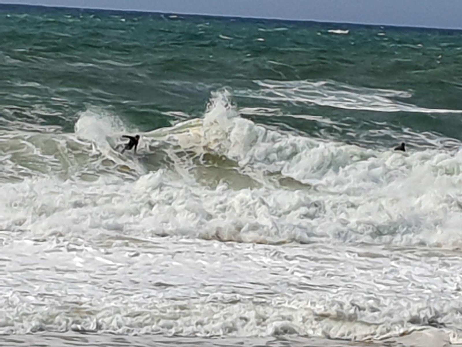 Beth Haslam - Author of the Fat Dogs and French Estates series: 2019