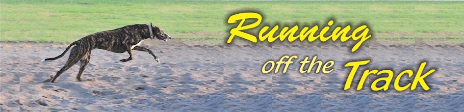 Running Off the Track: Dog Racing. You bet. We die.
