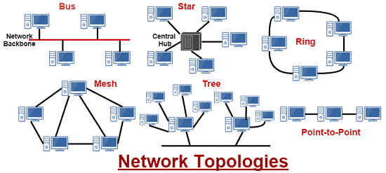 Types of Network Topology ~ Acharya Nagarjuna University Syllabus ...