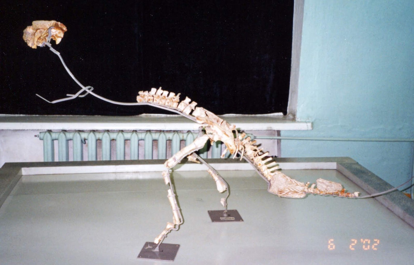 Equatorial Minnesota: Mongolian dinosaurs, 2002