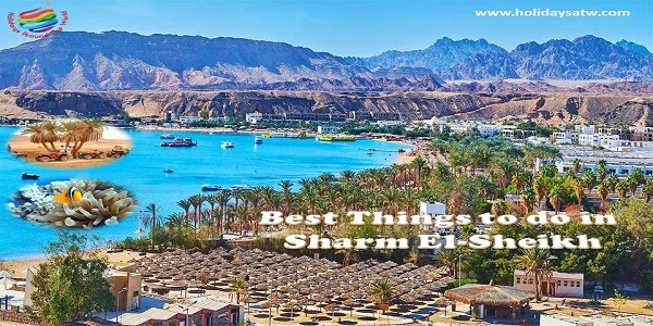 Best things to do in Sharm El Sheikh