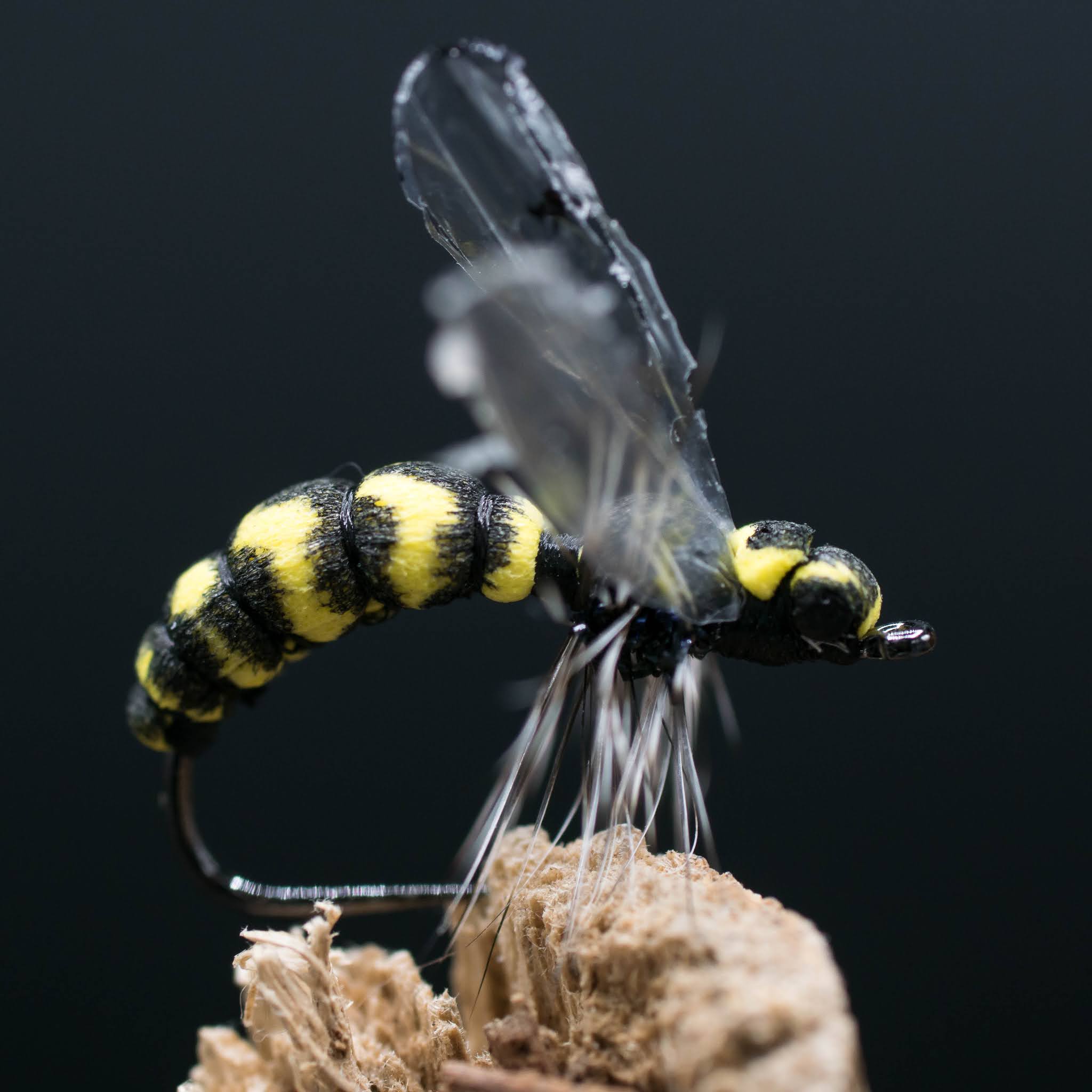 50 På Fluga: Feature Fly of the Month: August - Bugs, Insects and ...