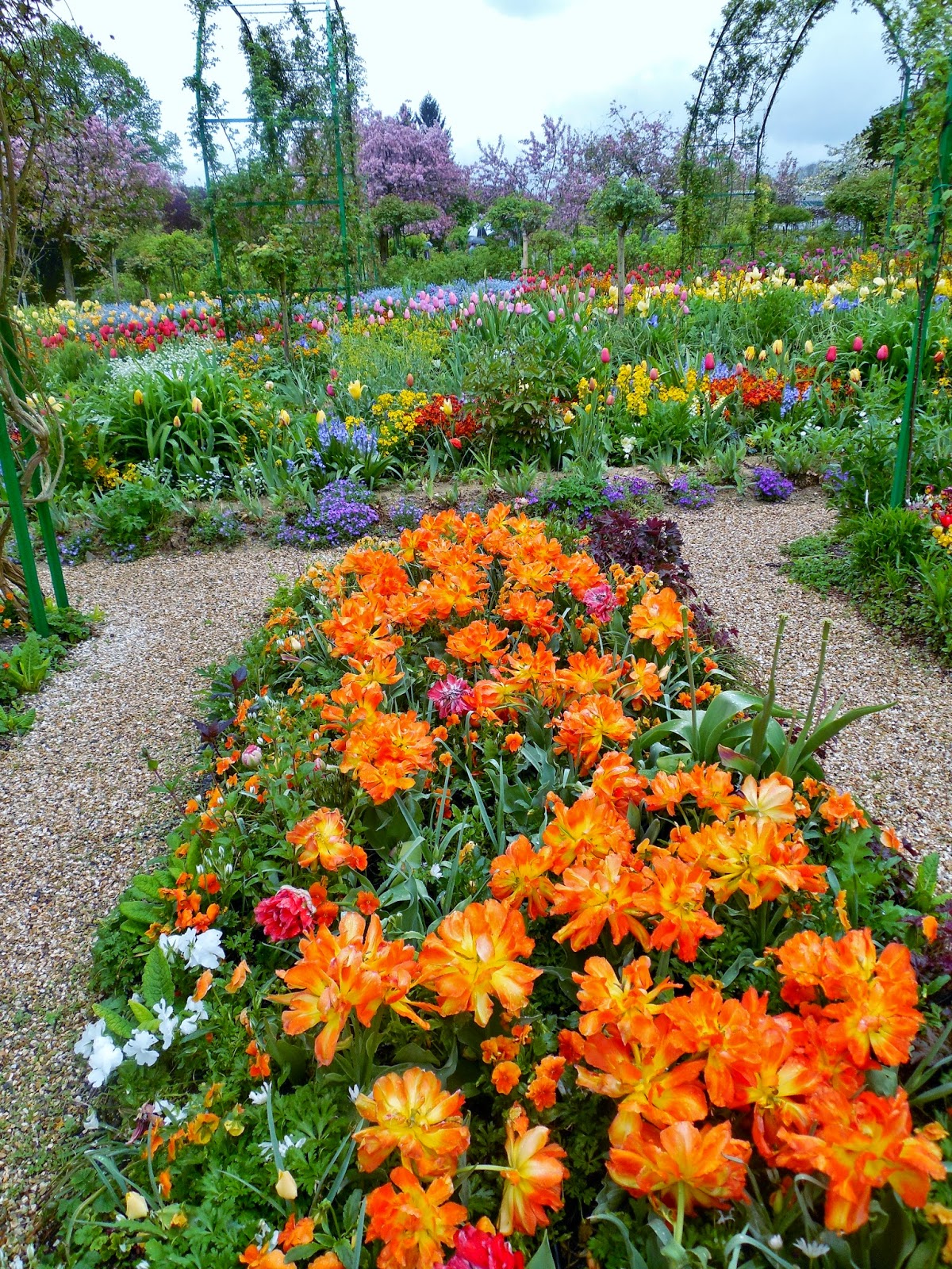 Teatime Journeys: Day 8- Monet's Garden