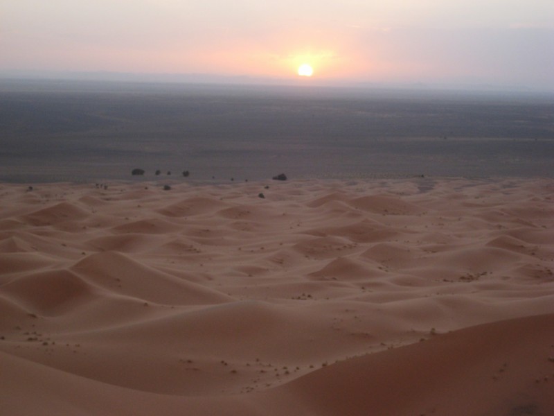 Amalouk Trip : Desert Tours and Excursion in Morocco
