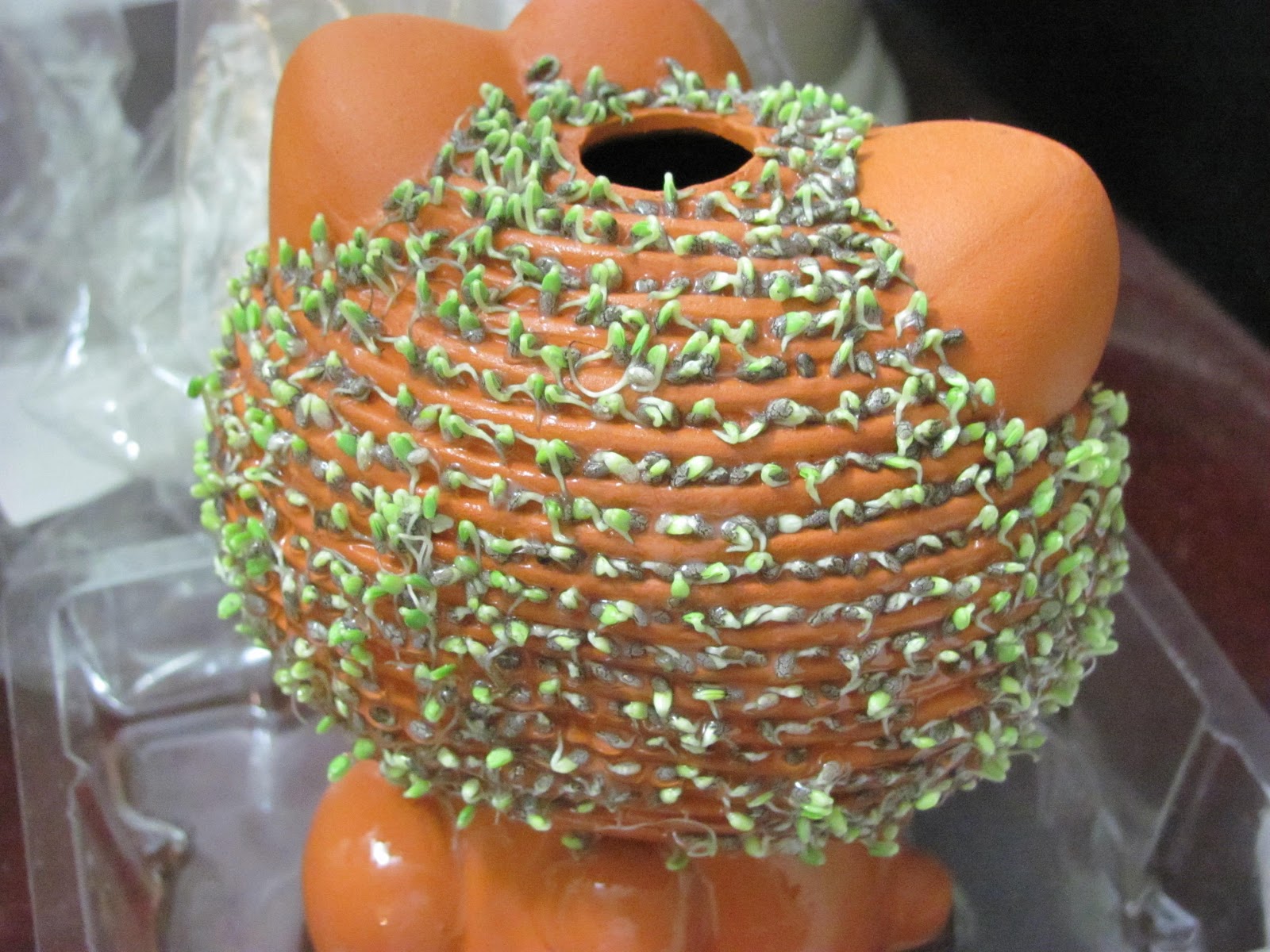 Tranquil Contemplations: Hello Kitty Chia pets are temperamental...