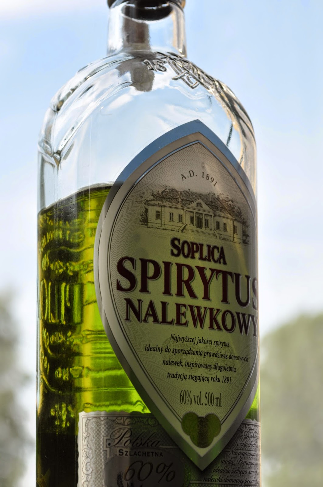 Kulinaria: Nalewka miętowa