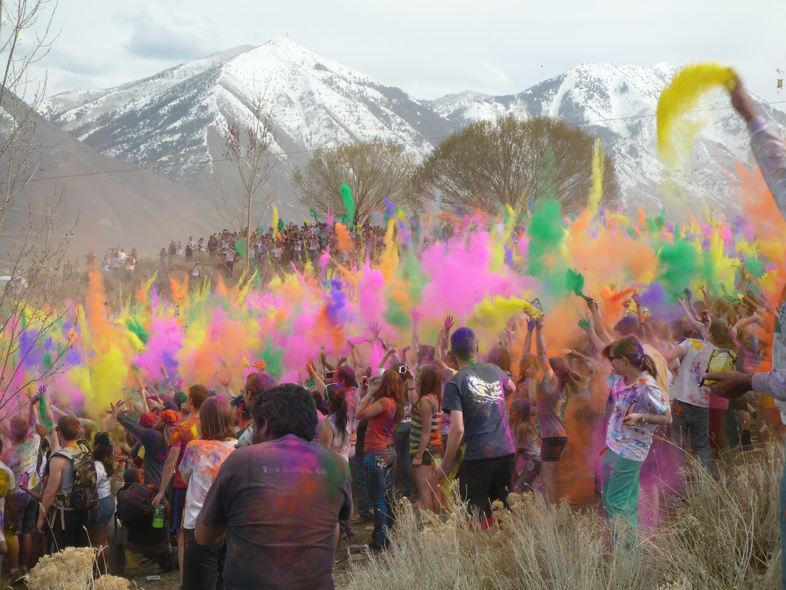 Art Incarnate: Holi Festival of Colors