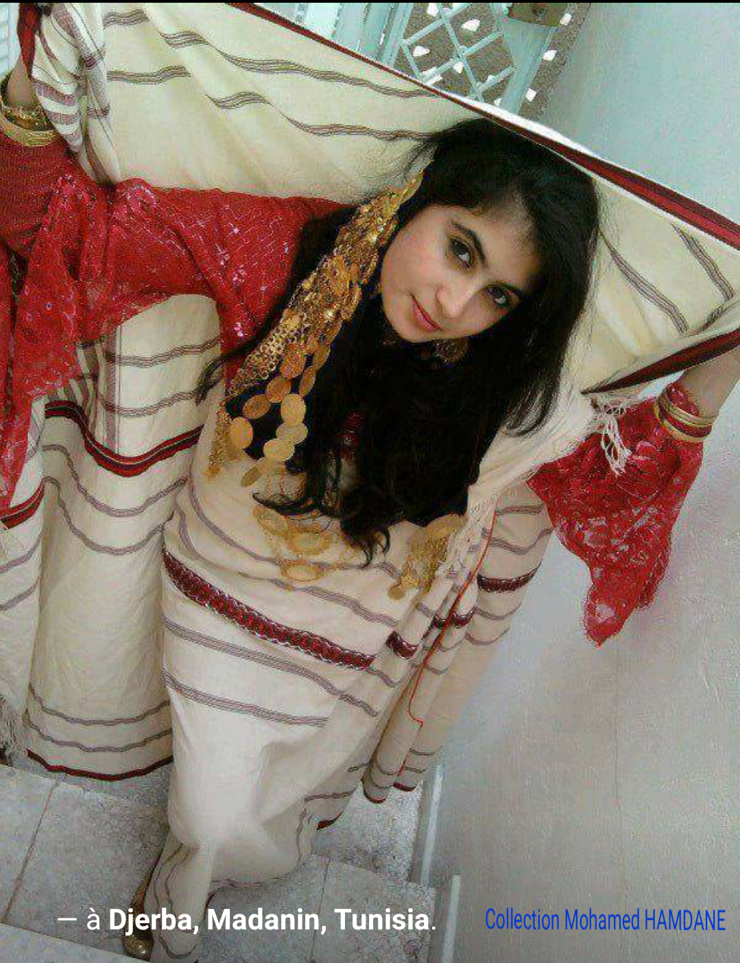 CULTURE et PATRIMOINE DE TUNISIE EN IMAGES- MOHAMED HAMDANE-ثقافة وتراث ...