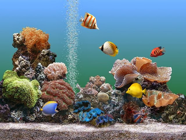 10 Background Terbaik