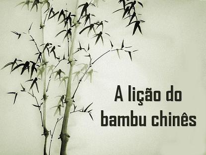 Uma verdadeira lição! A sabedoria do Bambu Chinês ~ ADM PESSOAS