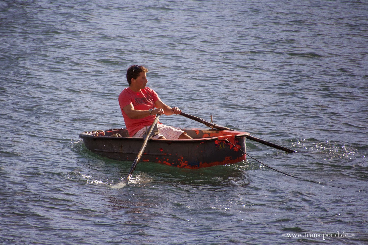 Trans Pond: Row the boat