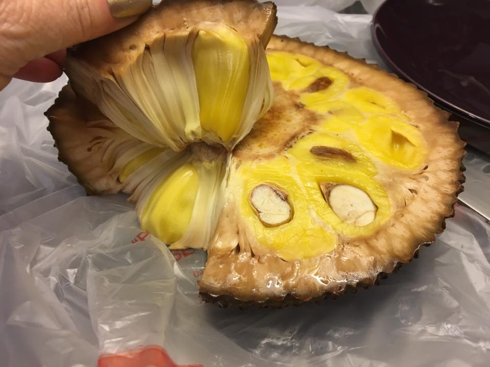 Rockin' the Kitchen: Jackfruit- finally!!