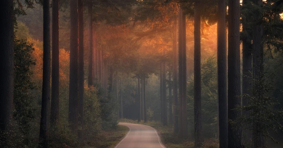 Just A Car Guy: a smooth road, and a beautiful morning, somewhere in ...