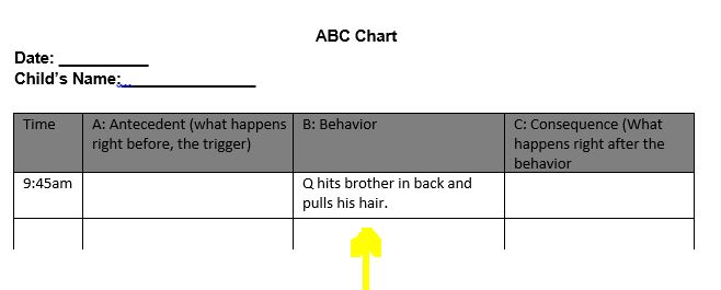 Branch and Blossom Atelier: Using an ABC Chart to Track Behaviors