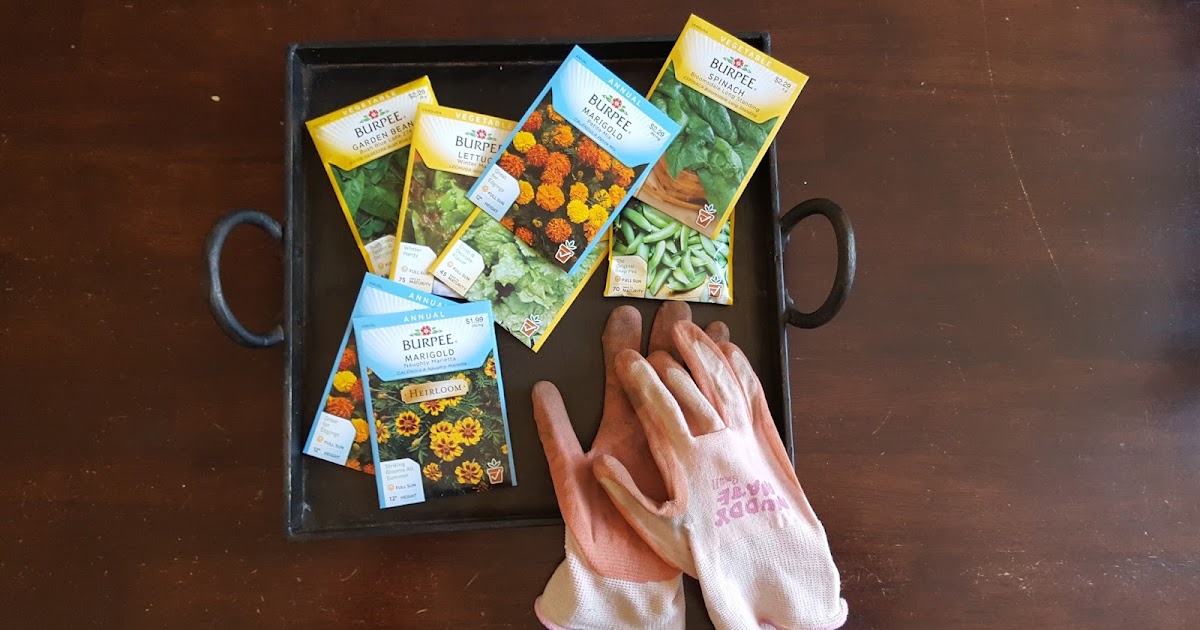 Notes from Val's Kitchen: Seeds