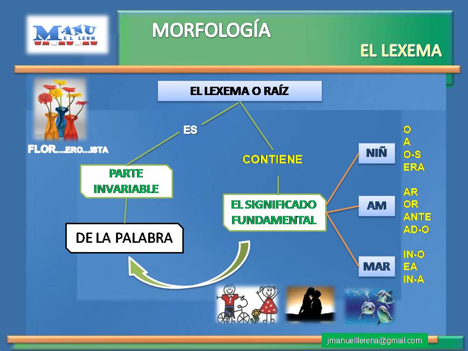 Ayudas visuales y el pensamiento complejo: MORFOLOGÍA