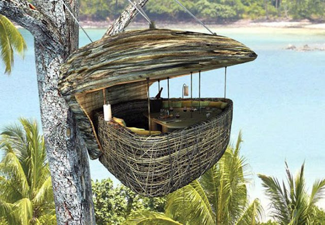 Amazing Tree Top Restaurant in Thailand (7 pics) | Daily Fun Pics