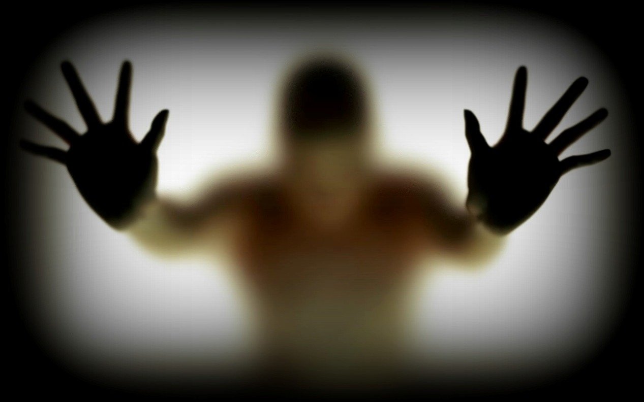 Momenti di Vita: La paura è solo un programma che ti hanno inserito ...