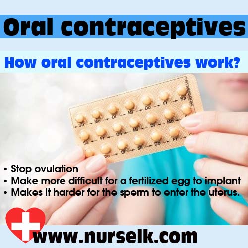 How Do Oral Contraceptives Work Telegraph