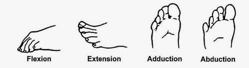 lupita pardosi: Gerakan ROM (Range Of Motion) , Nursing :)