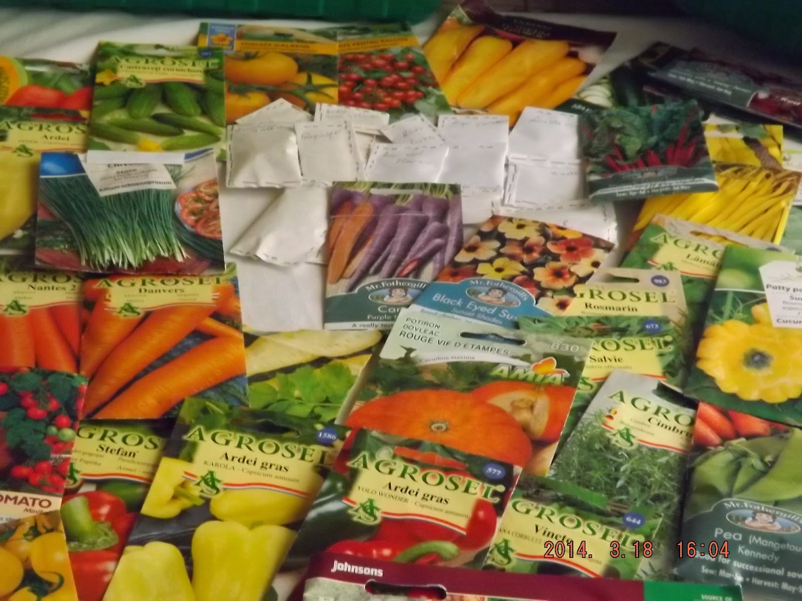 Gradinarit anotimp cu anotimp: Inmultirea simpla – prin seminte – 1001 ...