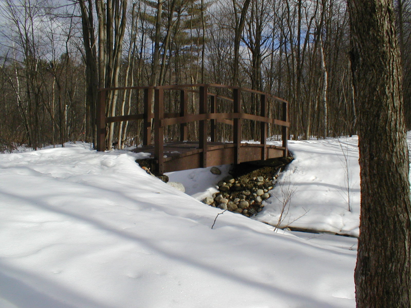 Onestep Outdoors!: Garcelon Bog Conservation Area