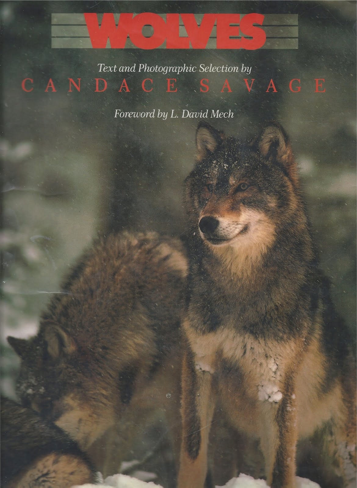 Valopolku: Candace Savage: Wolves