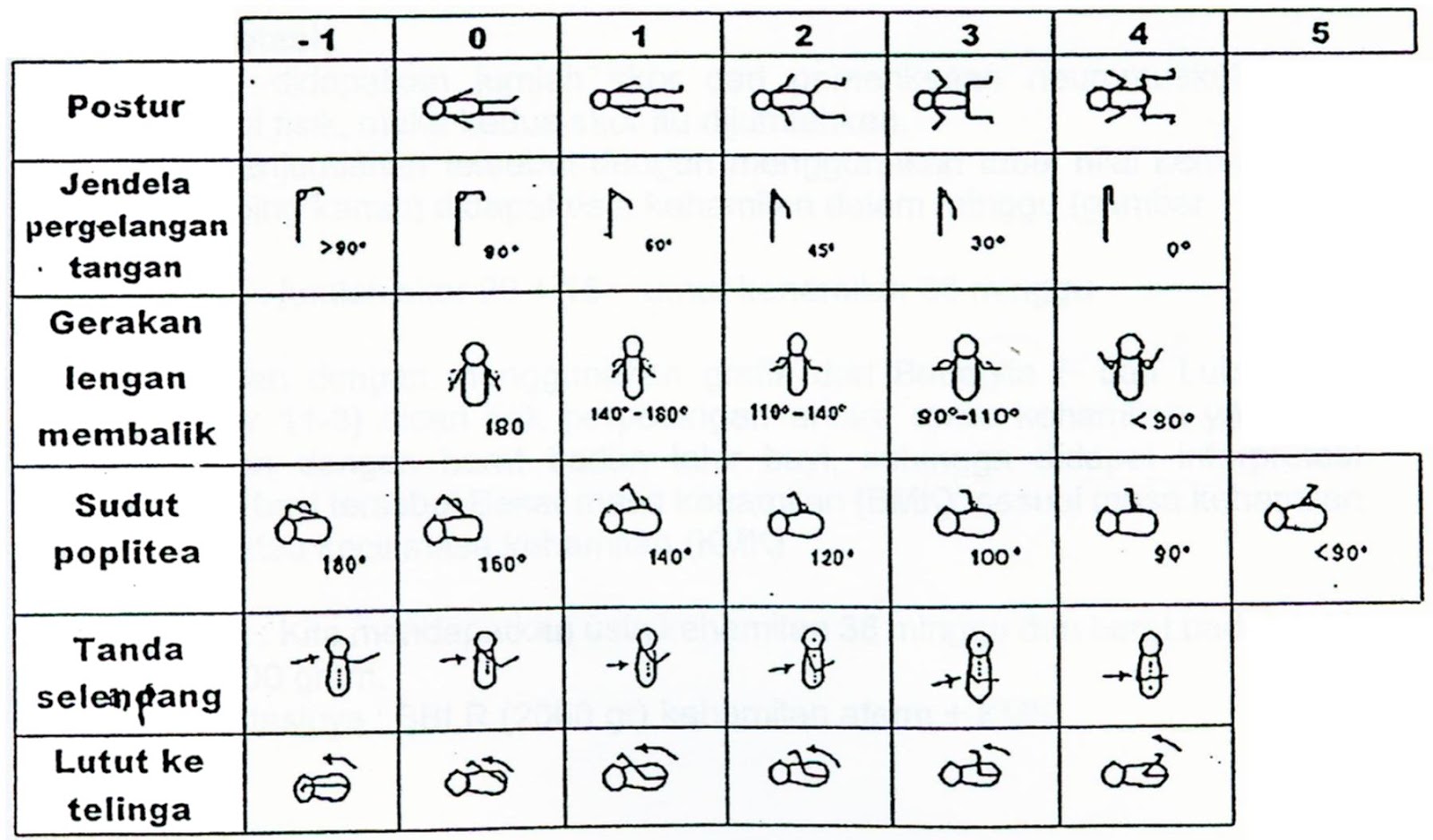 Buku Catatan Gado Gado: Ballard Score