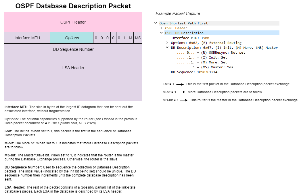 Christmas Calendar: OSPF Area Design and OSPF Packet Types